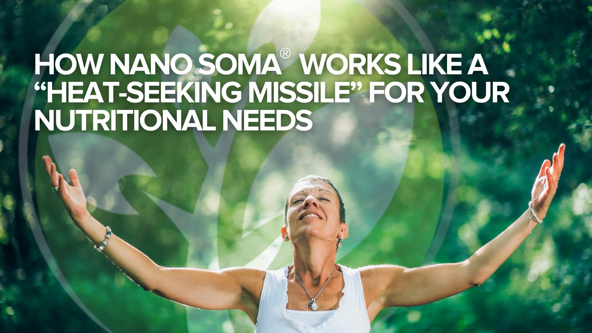 How NANO SOMA® Works Like a “Heat-Seeking Missile” for Your Nutritional ...